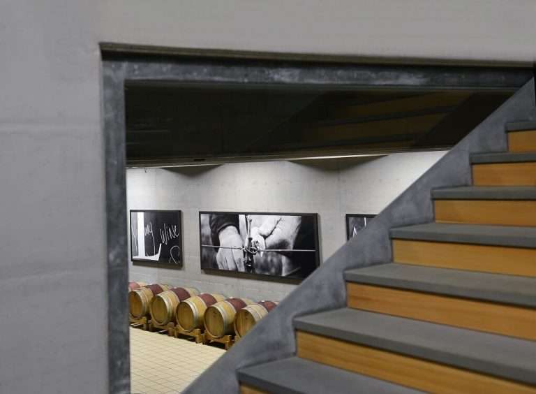 Visit us - Kozlović Winery - Visit us and Wine experience