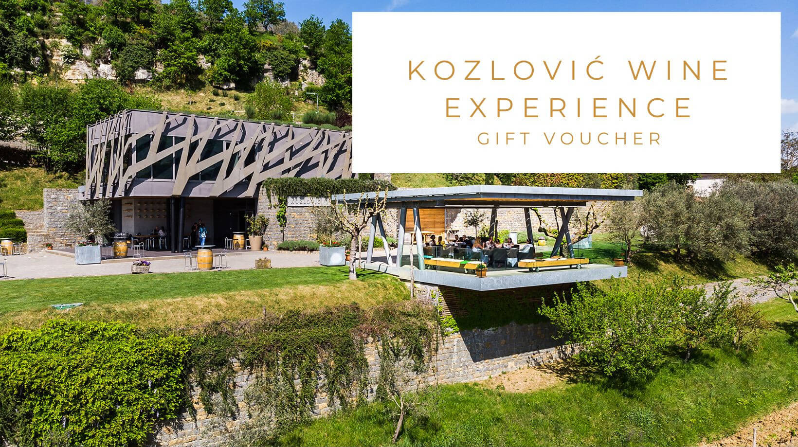 Evolution of Teran - Kozlović Winery