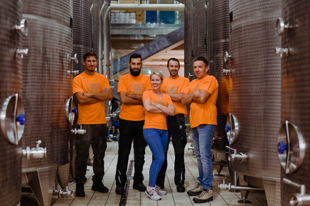 Limited edition wine experience! - Kozlović Winery